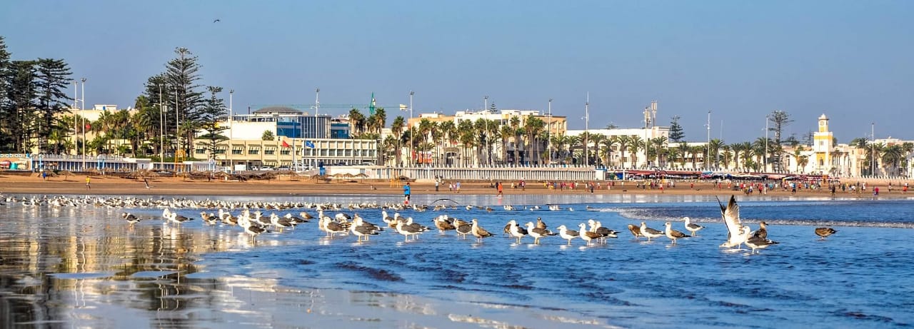 Tourisme | Centre Régional d'Investissement de Casablanca-Settat
